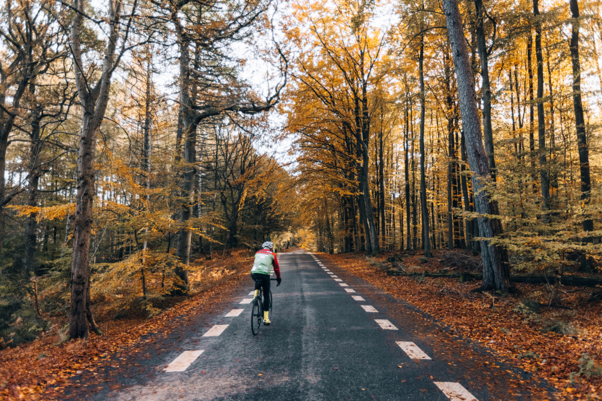 Path and route course of cycle superhighways - Concept for Cycle ...